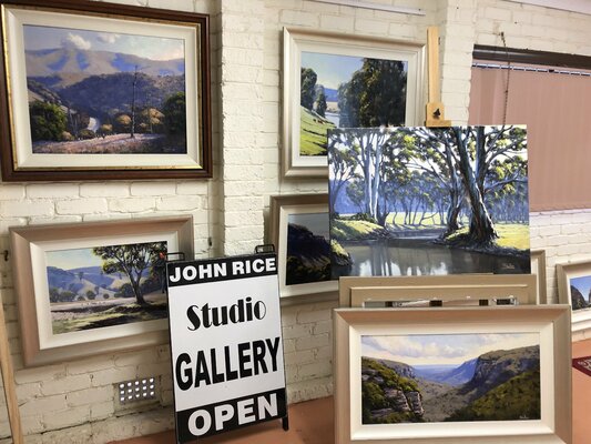 John Rice: contemporary Australian Painter - SINGULART