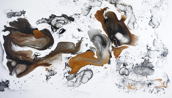 Fintan Whelan: contemporary German Painter - SINGULART