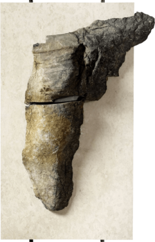 "Hunchback of Notre-Dame" by Ognyan Chitakov (2019) : Sculpture Stone ...