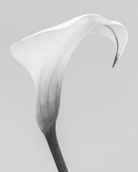 Paul Coghlin: contemporary British Photographer - SINGULART