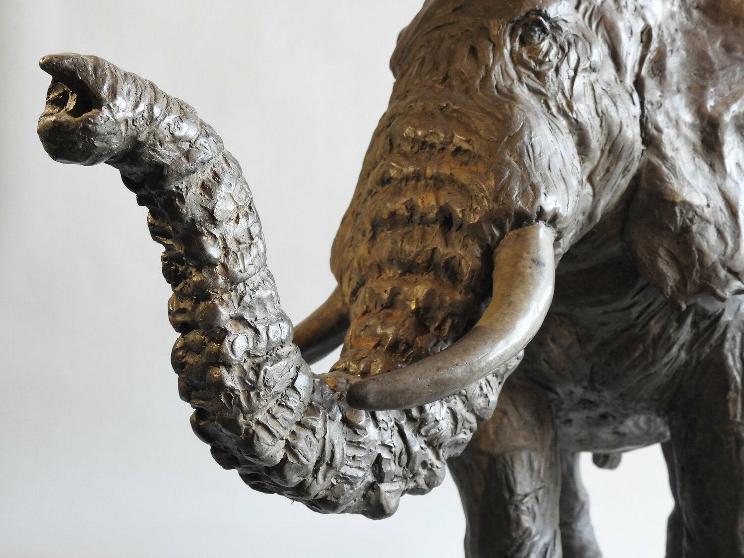 Titan: African Elephant by Kindrie Grove (2019) : Sculpture Bronze ...