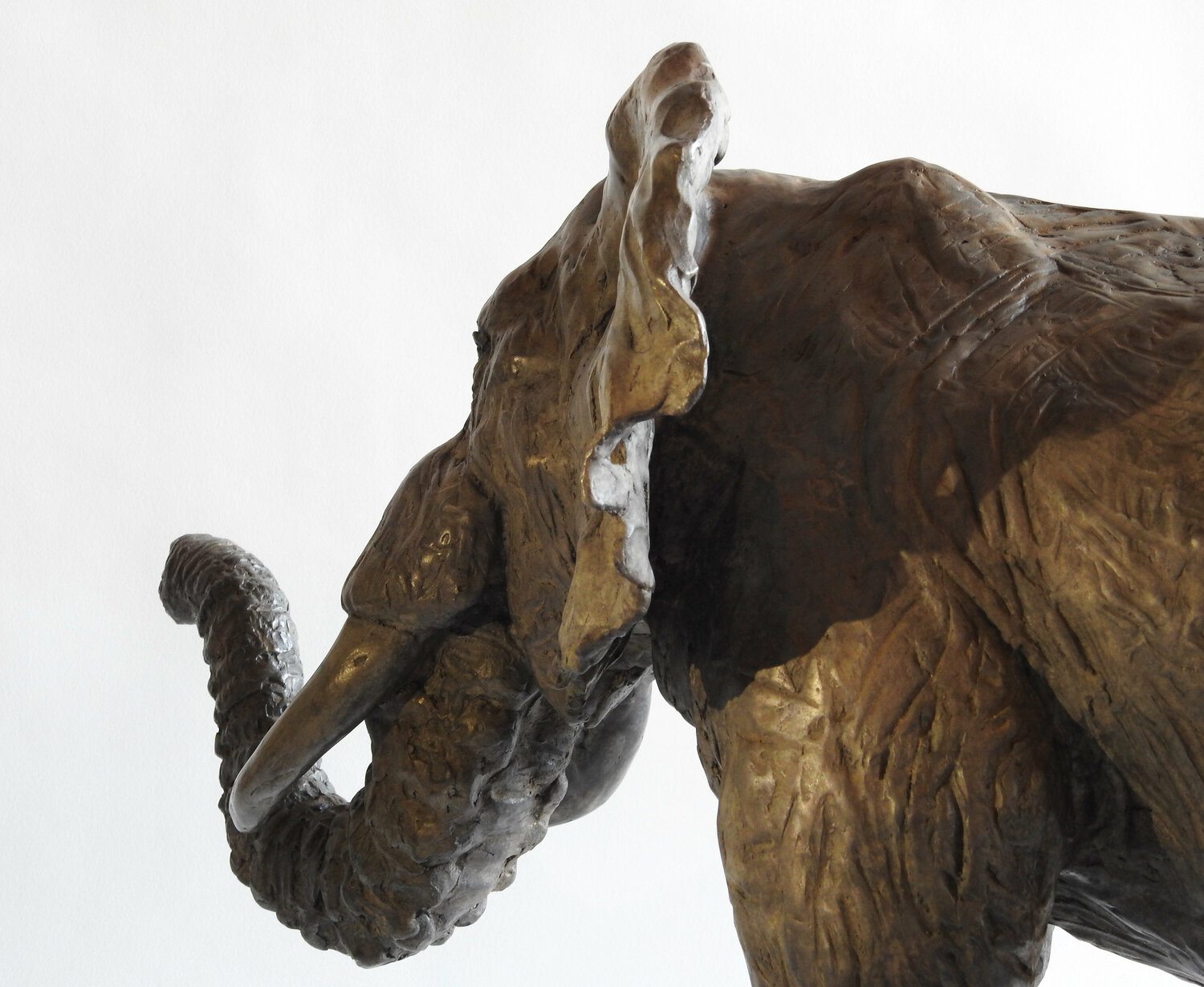 Titan: African Elephant by Kindrie Grove (2019) : Sculpture Bronze ...