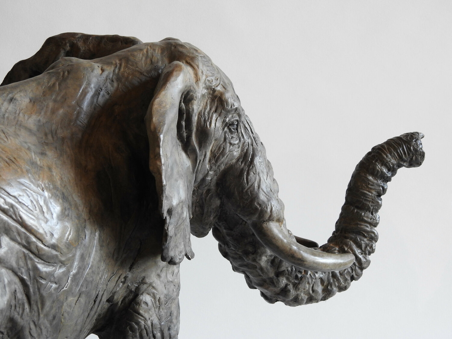 Titan: African Elephant by Kindrie Grove (2019) : Sculpture Bronze ...