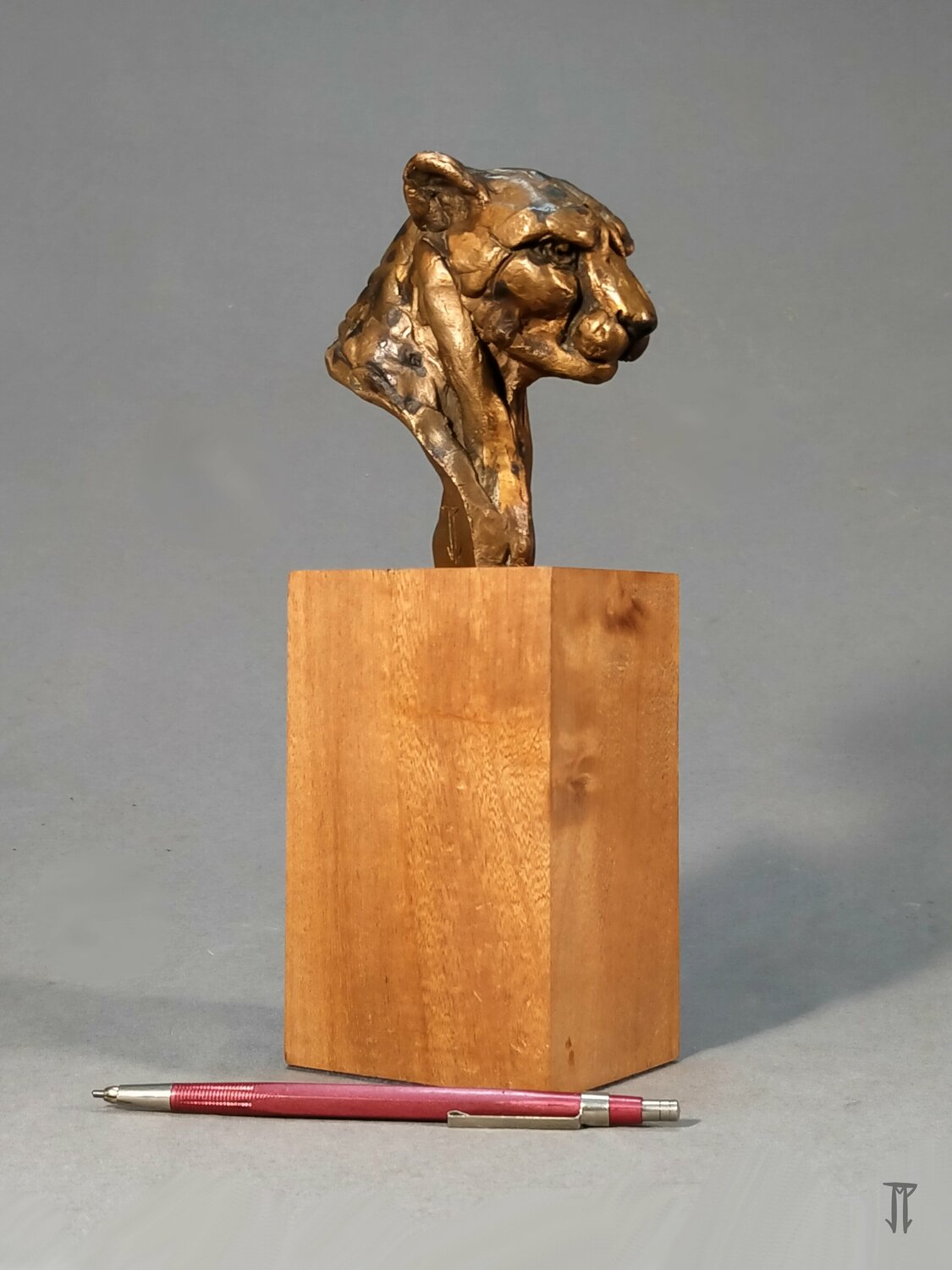 Ingulule by José Miguel Pino (2021) : Sculpture Bronze, Wood - SINGULART