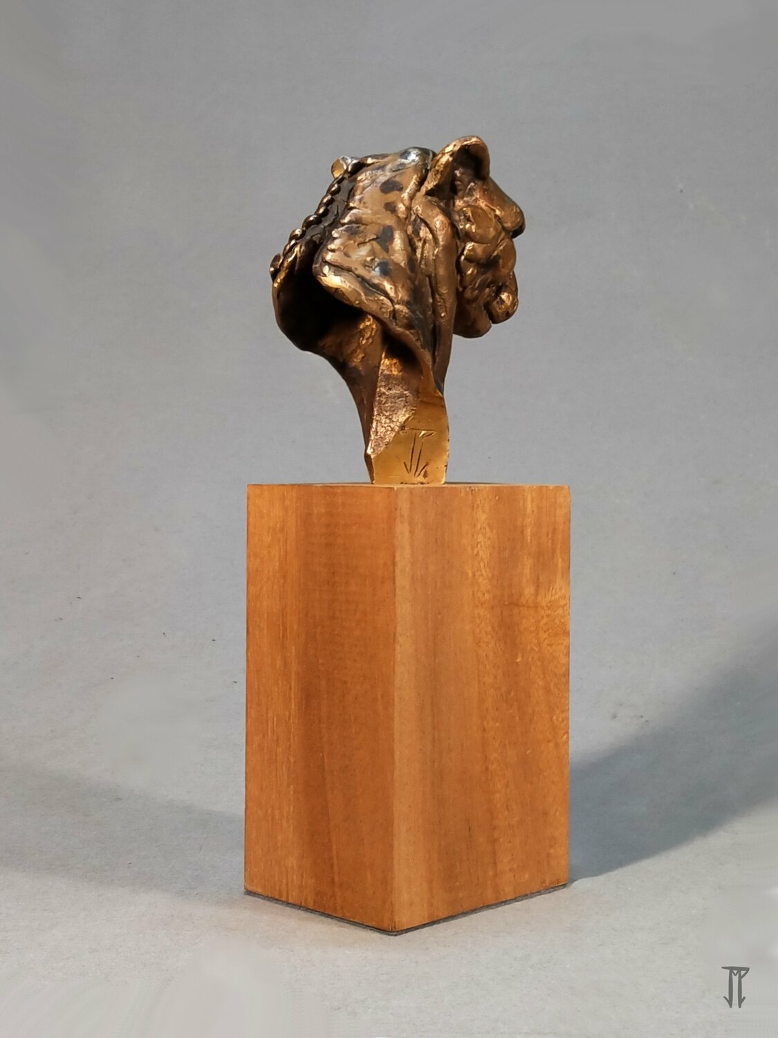 Ingulule by José Miguel Pino (2021) : Sculpture Bronze, Wood - SINGULART