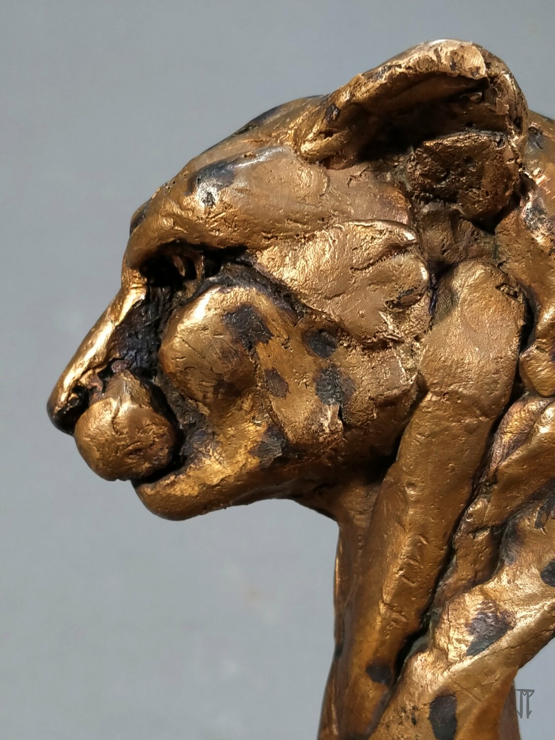 Ingulule by José Miguel Pino (2021) : Sculpture Bronze, Wood - SINGULART