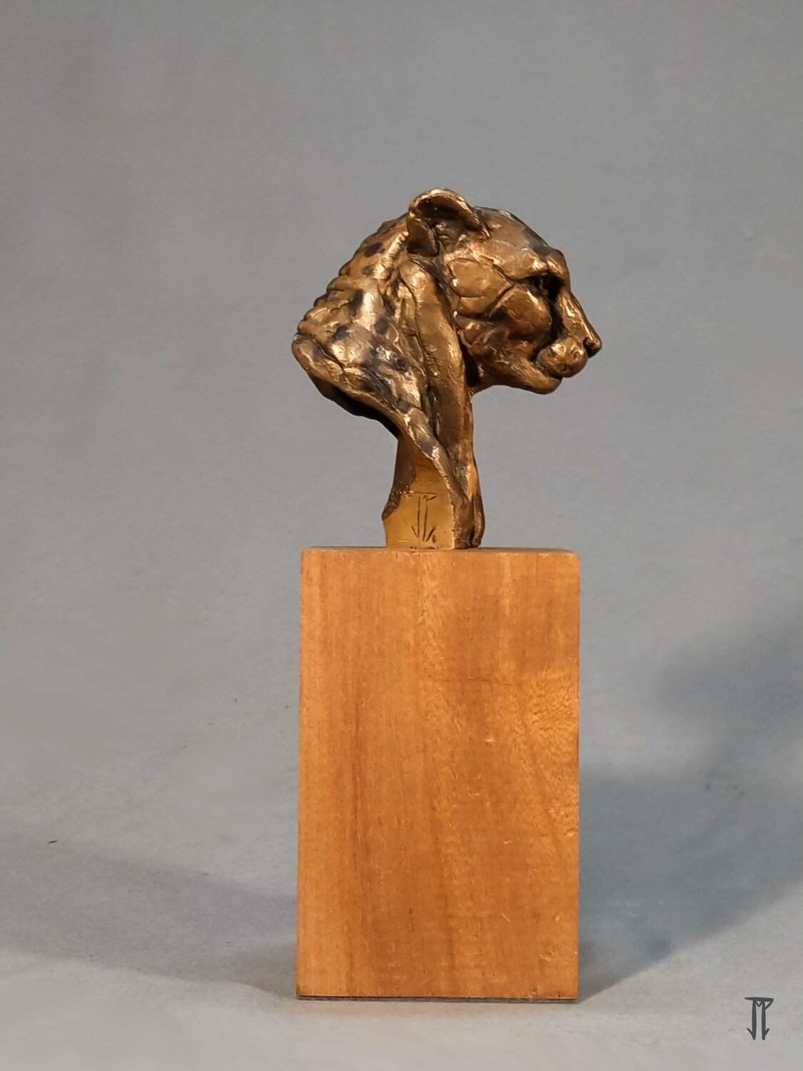 Ingulule by José Miguel Pino (2021) : Sculpture Bronze, Wood - SINGULART