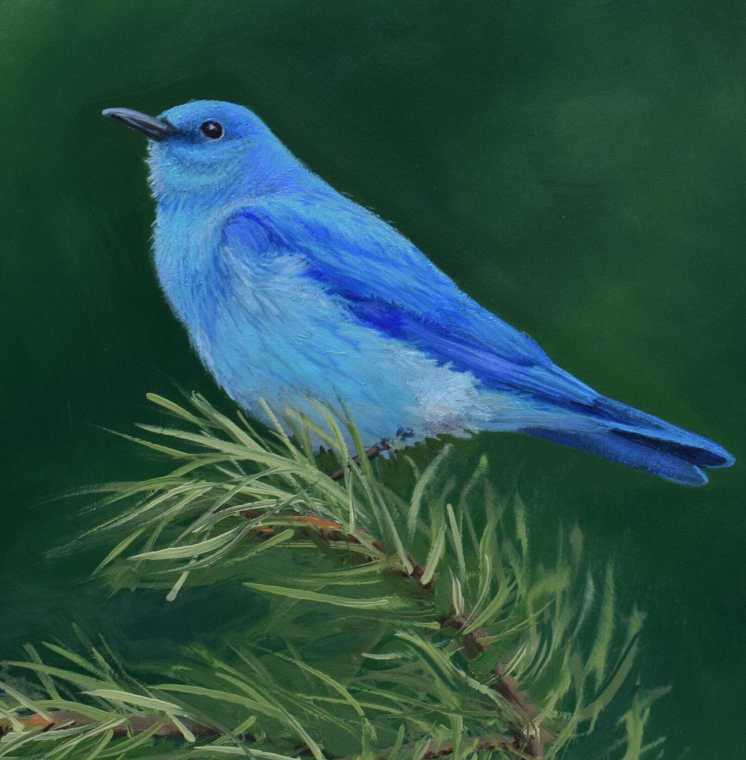 Mountain Bluebird in Evergreen by Elizabeth Rickert (2022) : Painting ...