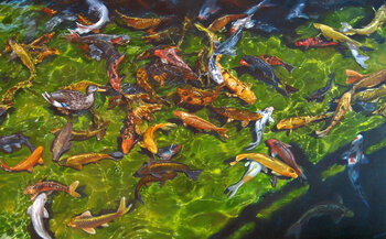 Aquatic Calligraphy by Catherine Kirkwood (N.D) : Painting Oil on ...