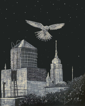 Karen Clark : contemporary American Painter, Photographer - Singulart