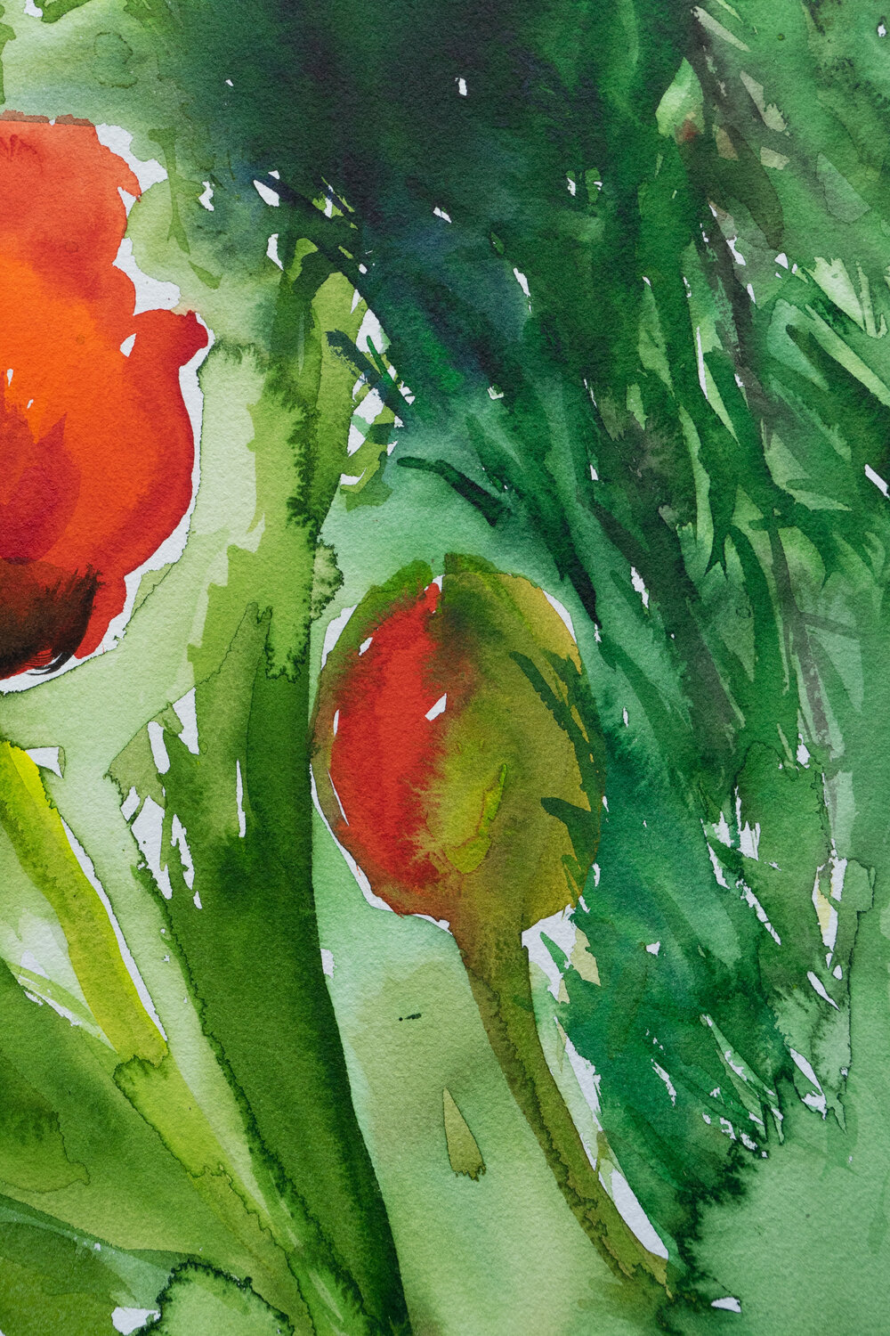 Roter Mohn vor dem Schuppen by Ute Meyer (2022) : Work on paper ...