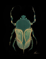 Monique Ortiz Monasterio: Artista Pintor contemporáneo (México) - SINGULART