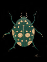 Monique Ortiz Monasterio: Artista Pintor contemporáneo (México) - SINGULART