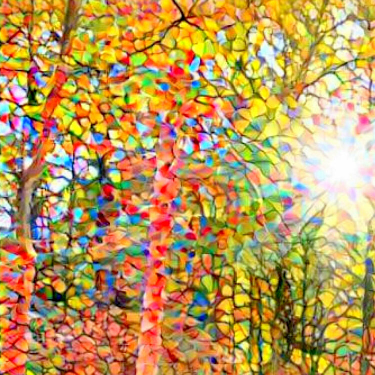 RIVER IN THE FOREST 2 by Nik Tod (2022) : Painting Acrylic, Screen ...